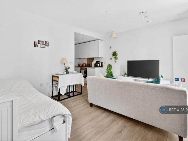 Studio to rent