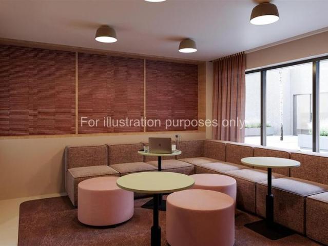 Studio to rent