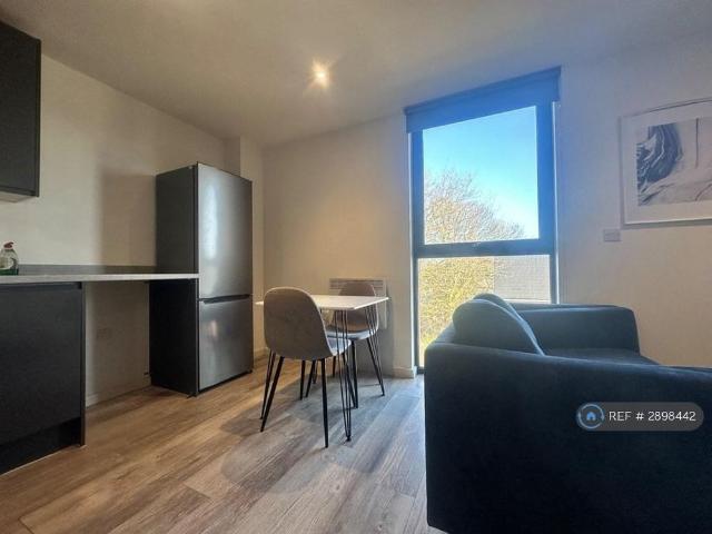 Studio to rent