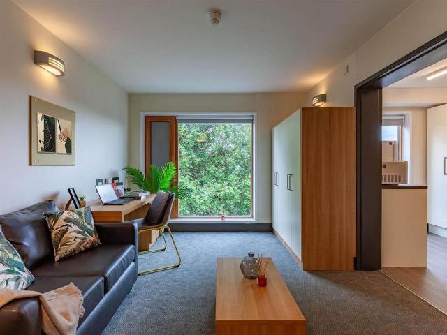 Studio to rent