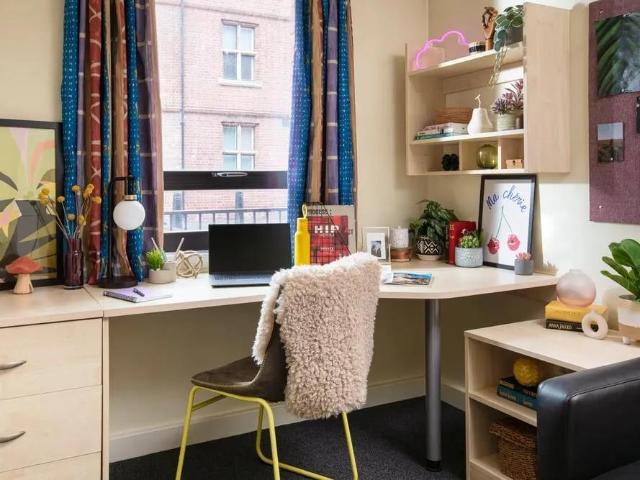 Studio to rent