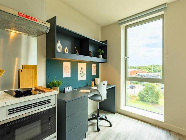 Studio to rent