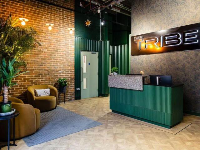 Studio to rent