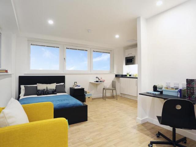 Studio to rent