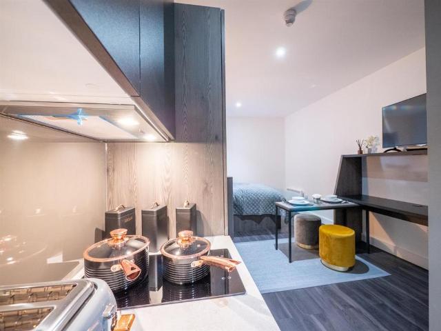 Studio to rent