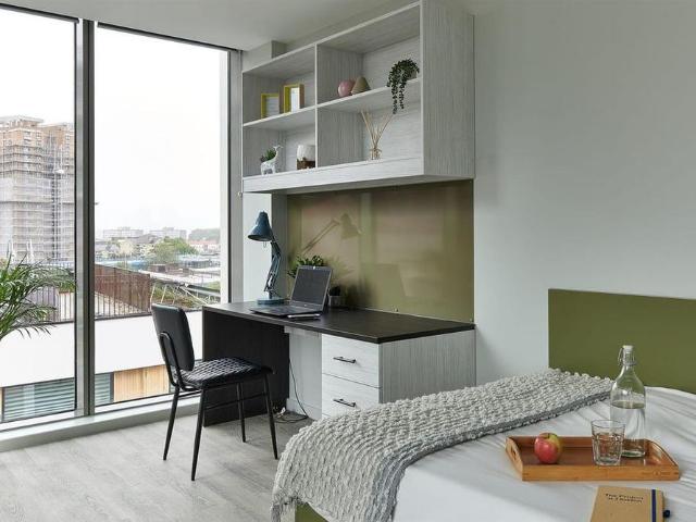 Studio to rent
