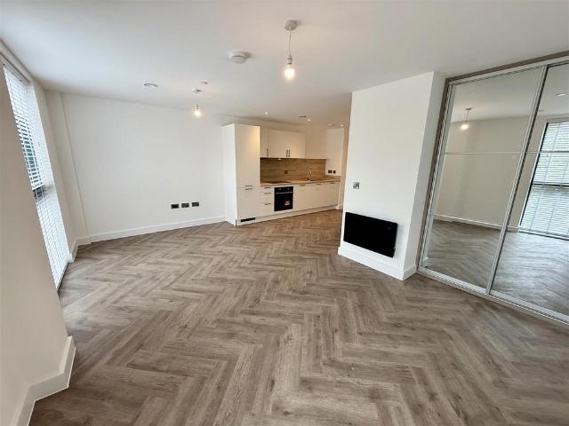 Studio to rent