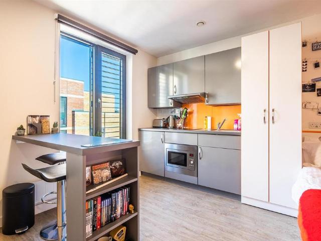 Studio to rent