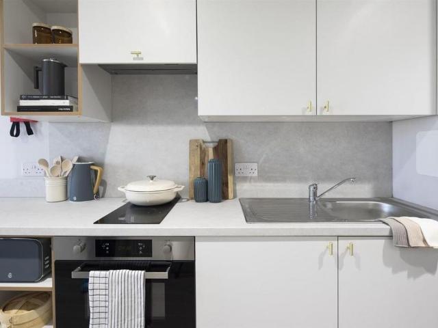 Studio to rent