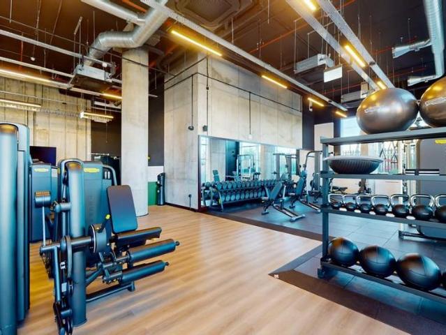 Studio to rent