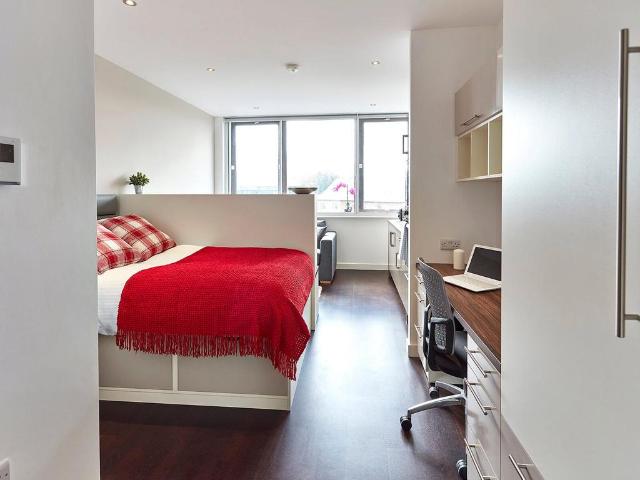 Studio to rent