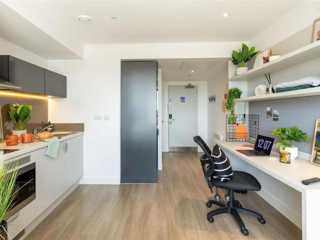 Studio to rent