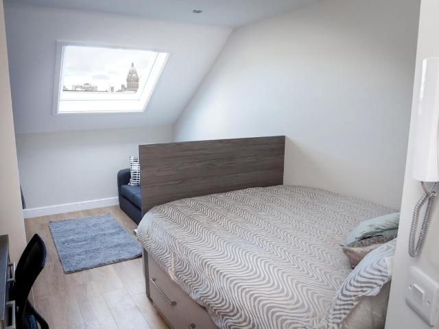 Studio to rent