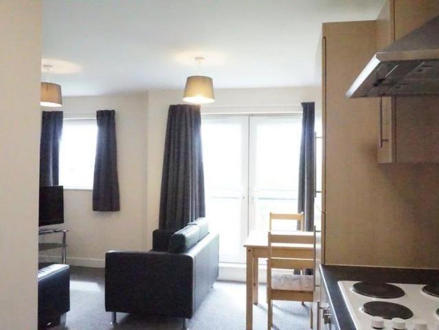 Studio to rent