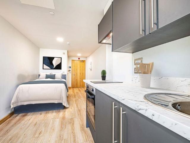 Studio to rent