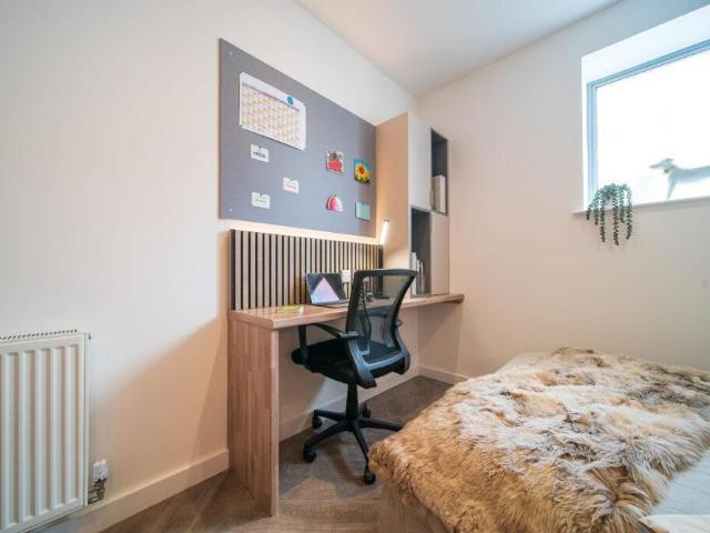 Studio to rent