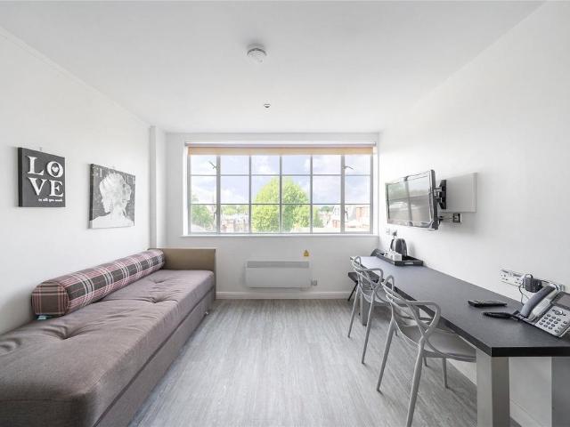 Studio to rent