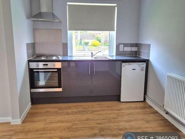 Studio to rent