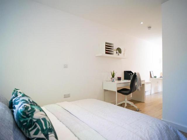 Studio to rent