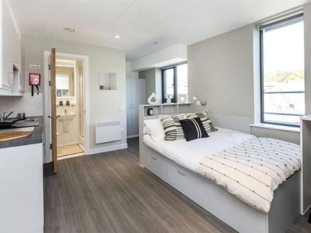 Studio to rent