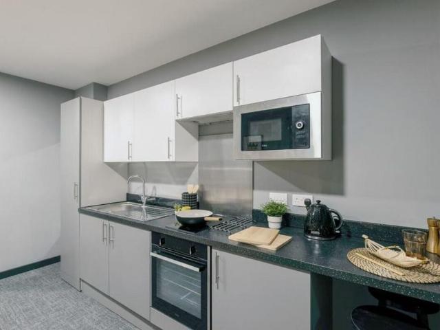 Studio to rent