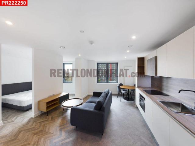 Studio to rent