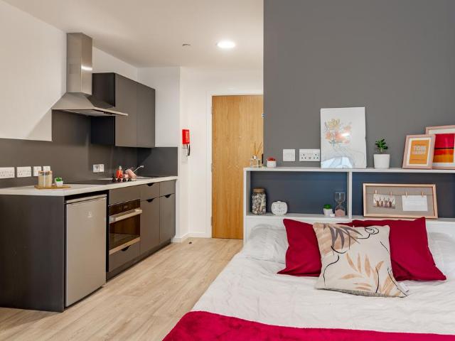 Studio to rent
