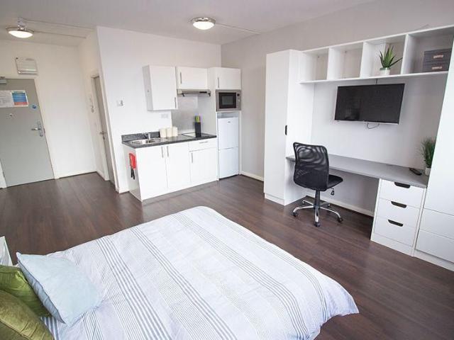 Studio to rent