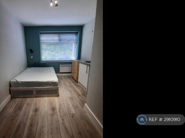 Studio to rent