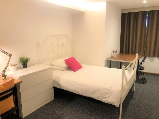 Studio to rent