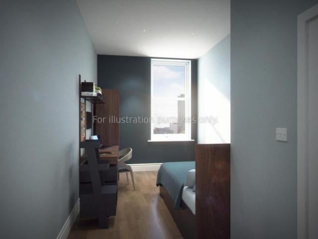 Studio to rent