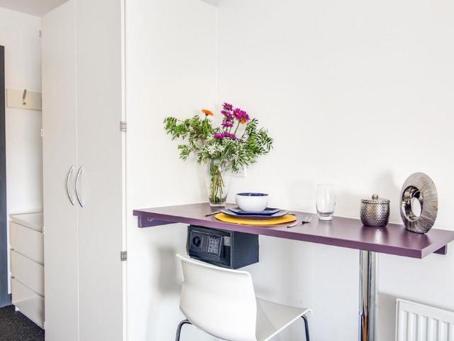Studio to rent