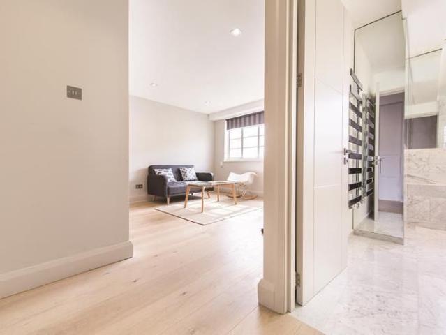 Studio to rent