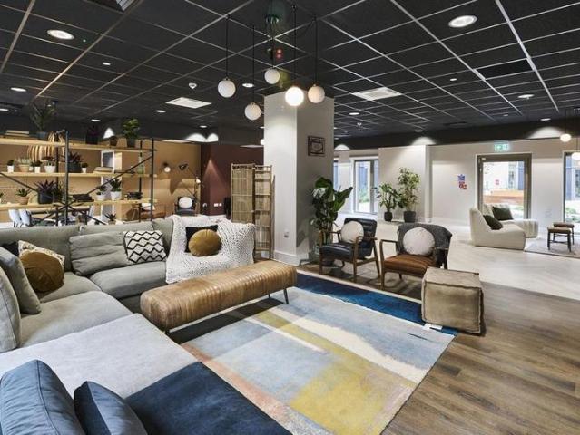 Studio to rent