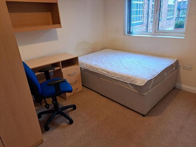 Studio to rent