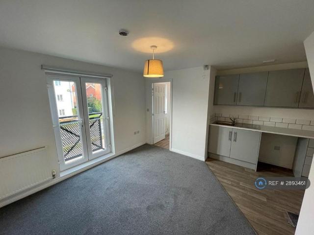 Studio to rent