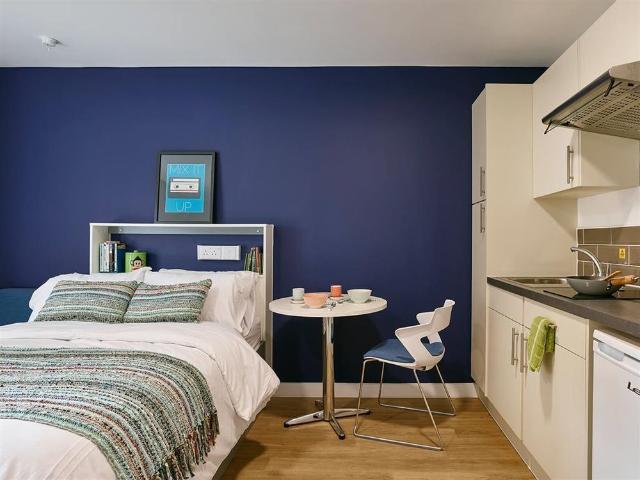 Studio to rent