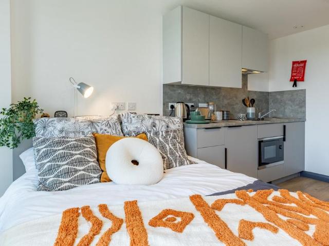 Studio to rent
