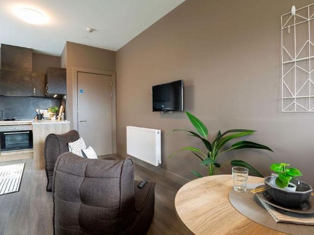 Studio to rent