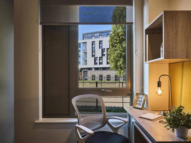 Studio to rent