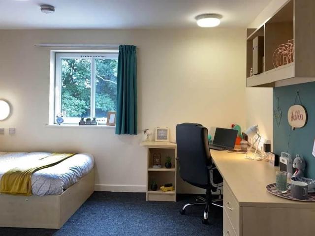 Studio to rent