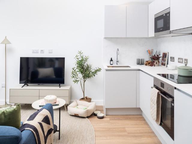 Studio to rent