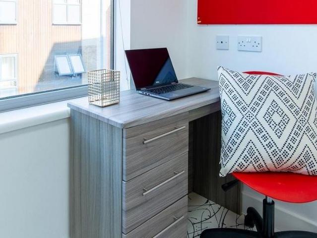 Studio to rent