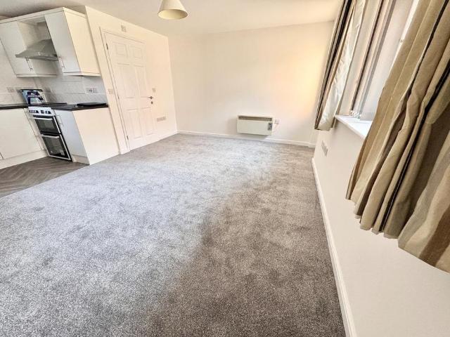 Studio to rent