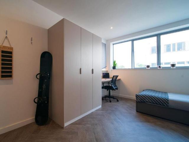 Studio to rent