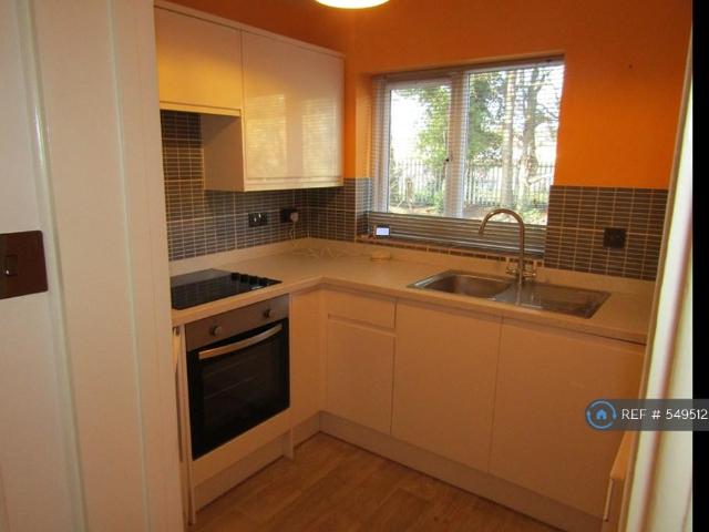 Studio to rent