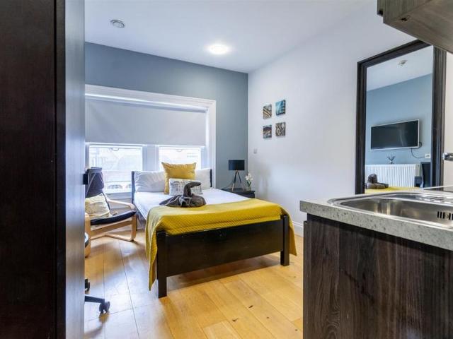 Studio to rent
