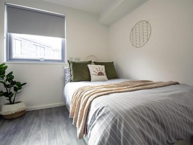 Studio to rent