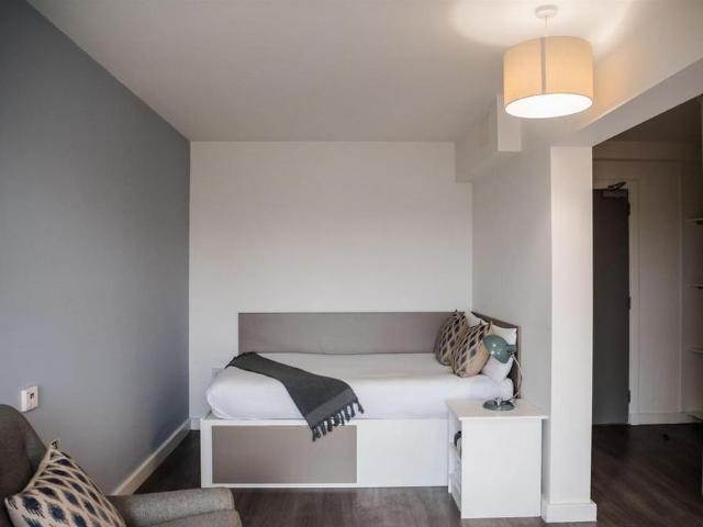 Studio to rent