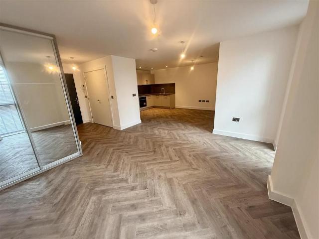 Studio to rent